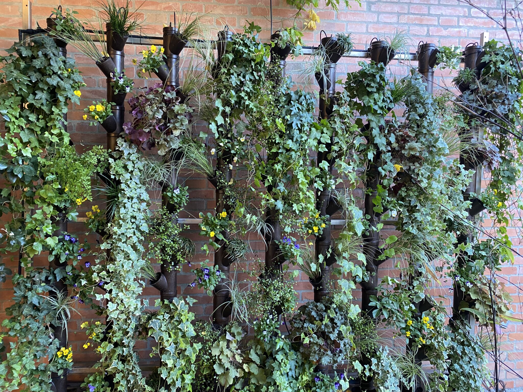 Soilless Cultivation_ Aquaponic Design - Myplant & Garden